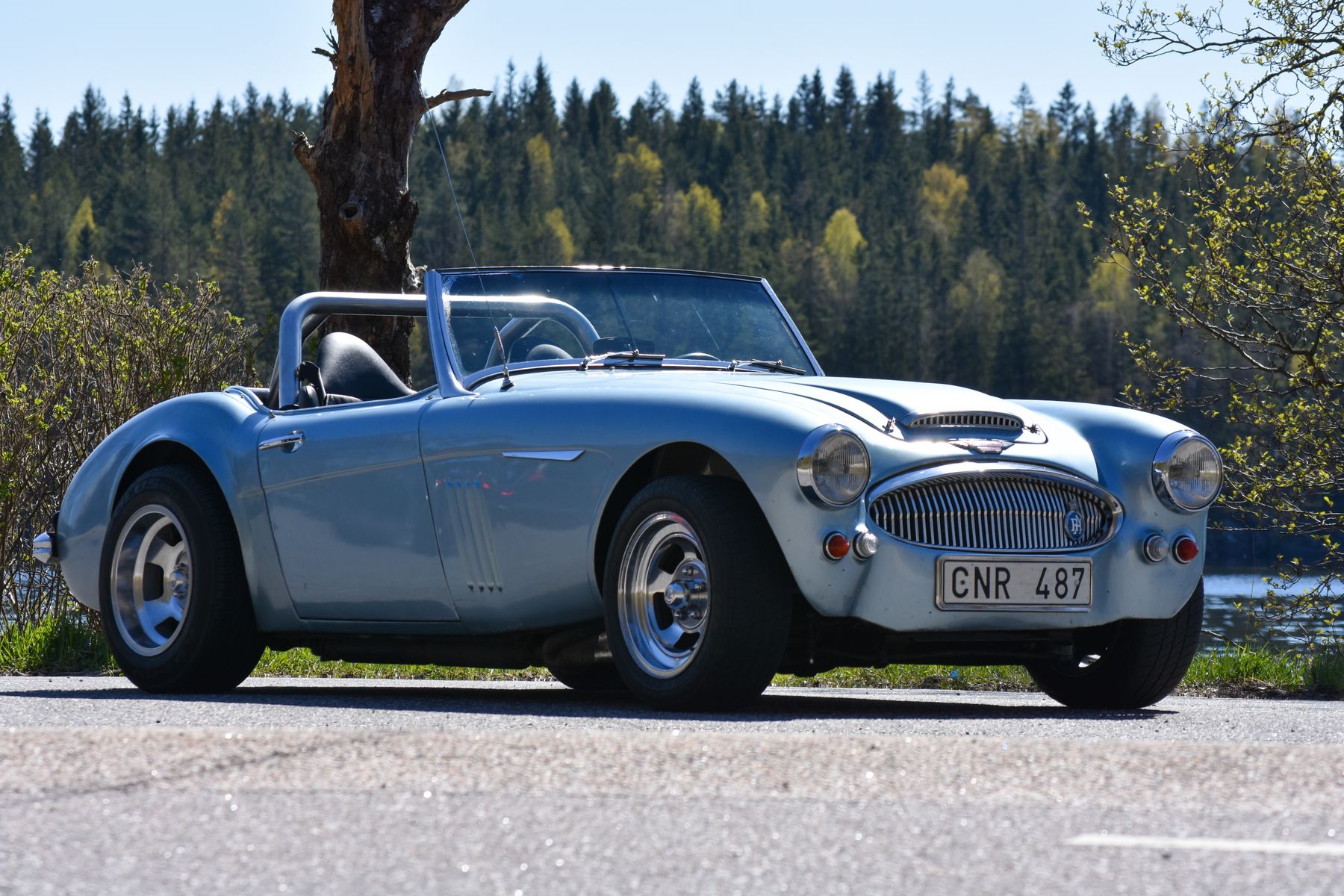 Austin Healey 3000 MkII 327 V8 — 1961 på Bilweb Auctions