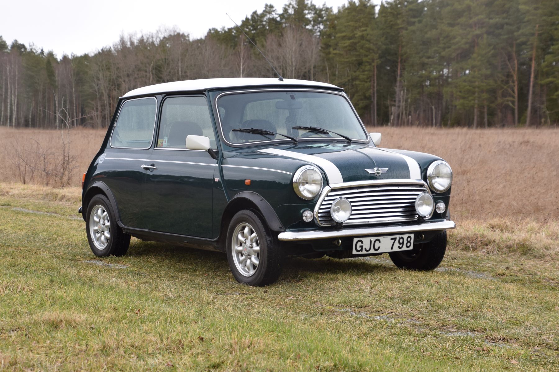 Rover Mini Cooper 1,3 4 Cylinder — 1998 on Bilweb Auctions