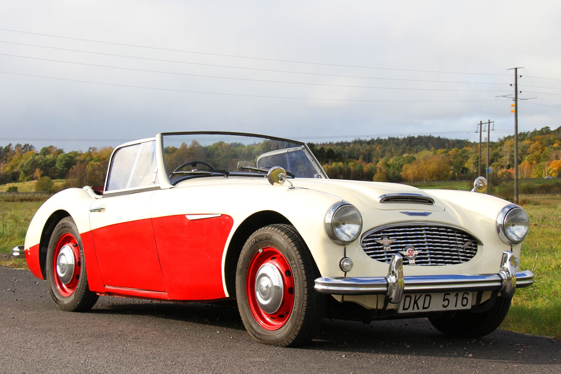 Austin Healey 100-6 BN4 2+2 — 1957 on Bilweb Auctions