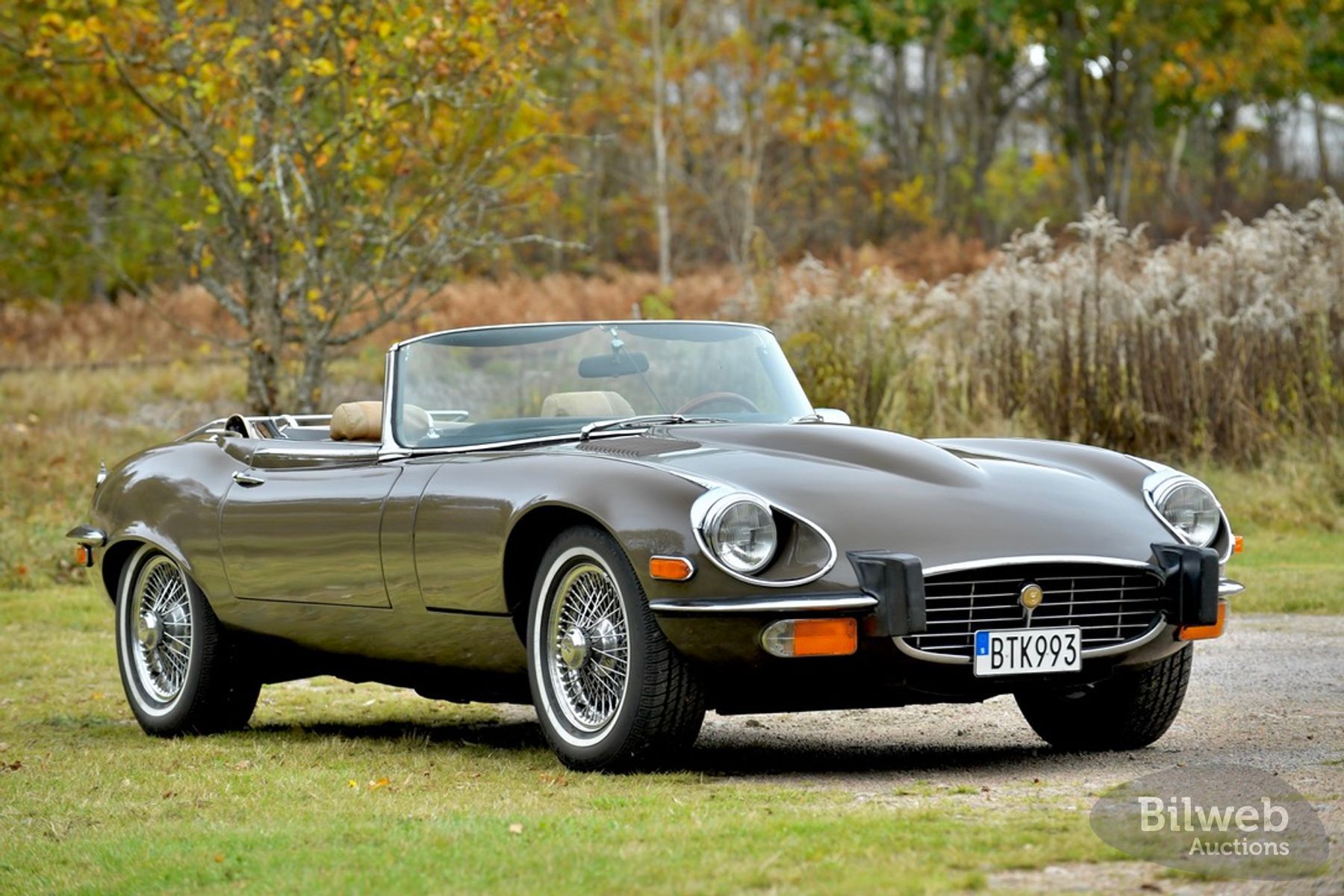 Jaguar E-Type OTS Roadster V12 — 1974 on Bilweb Auctions
