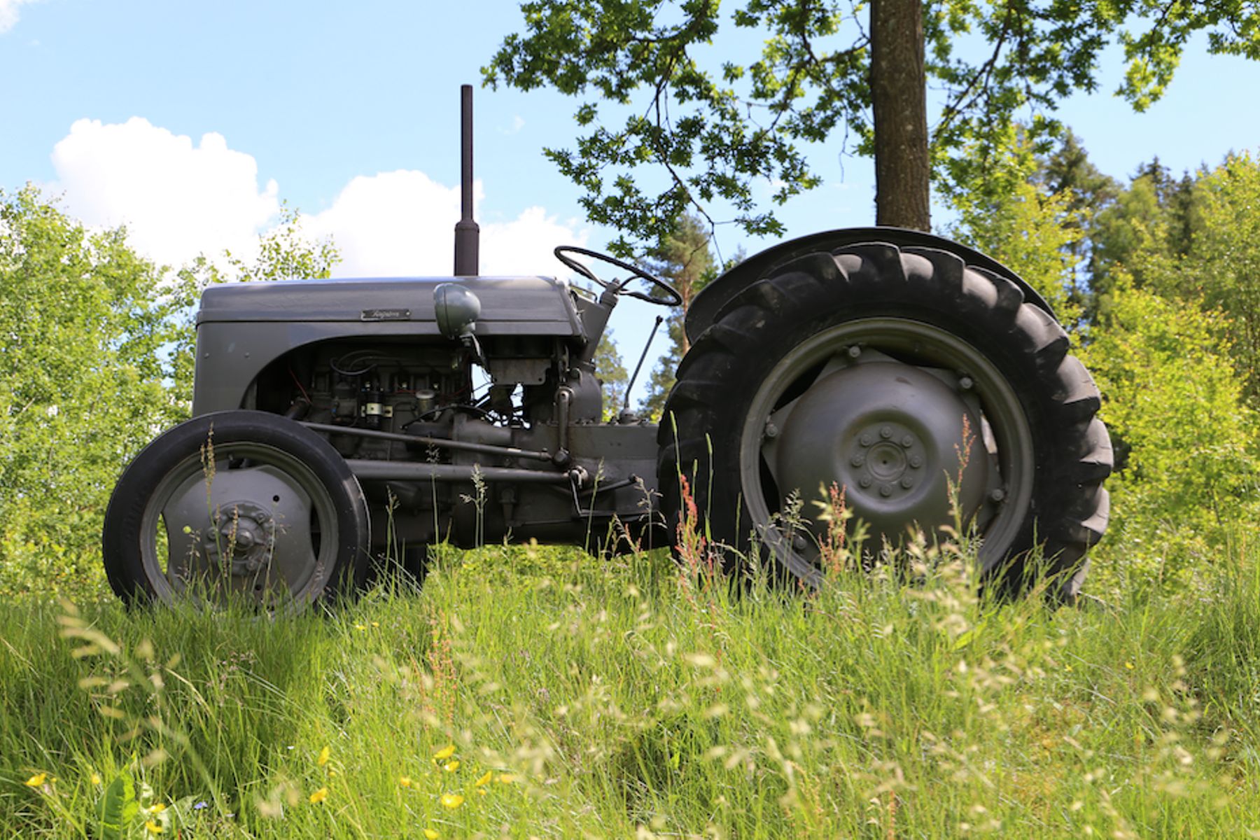 Ferguson TEA-20 Grålle 4-cyl — 1954 på Bilweb Auctions